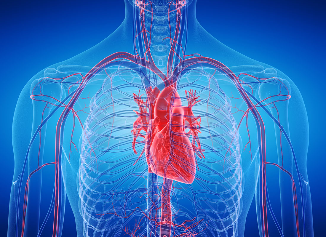 AI spots heart valve disease risk years before symptoms, study finds | BCS