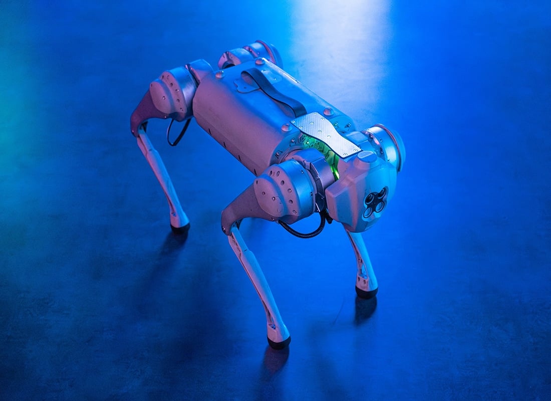 Robot learns to tackle unknown terrain | BCS