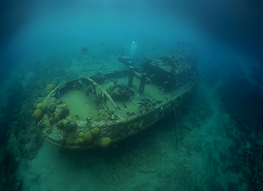 The rise and fall of Commodore | BCS